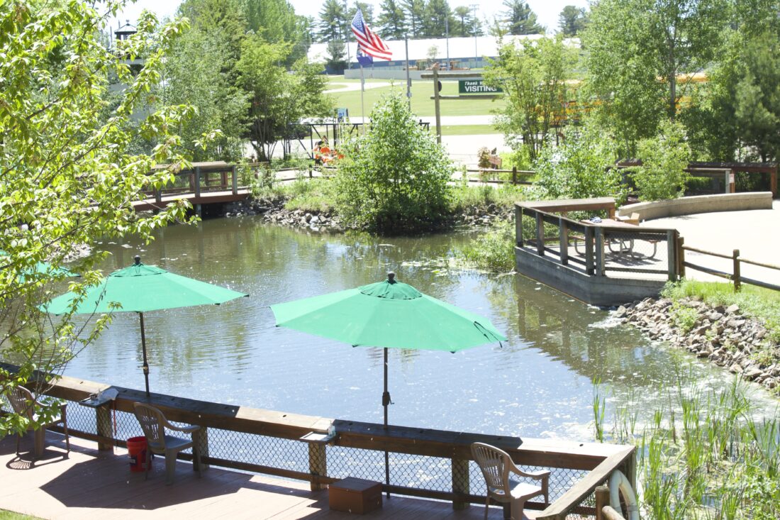 Pocket Park is open throughout the summer | News, Sports, Jobs - Daily ...